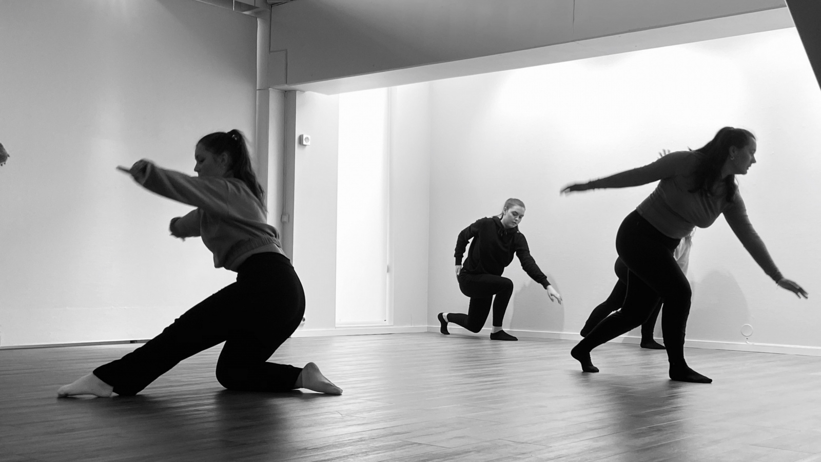 Meta.Morf X – Digital Wild Documentation 2020 – Meta.Morf X – Digital Wild