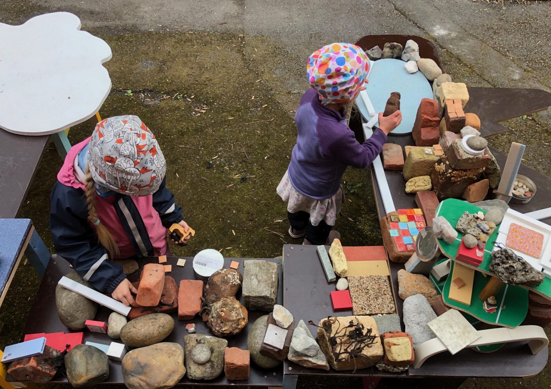 Meta.Morf 2022 – Ecophilia