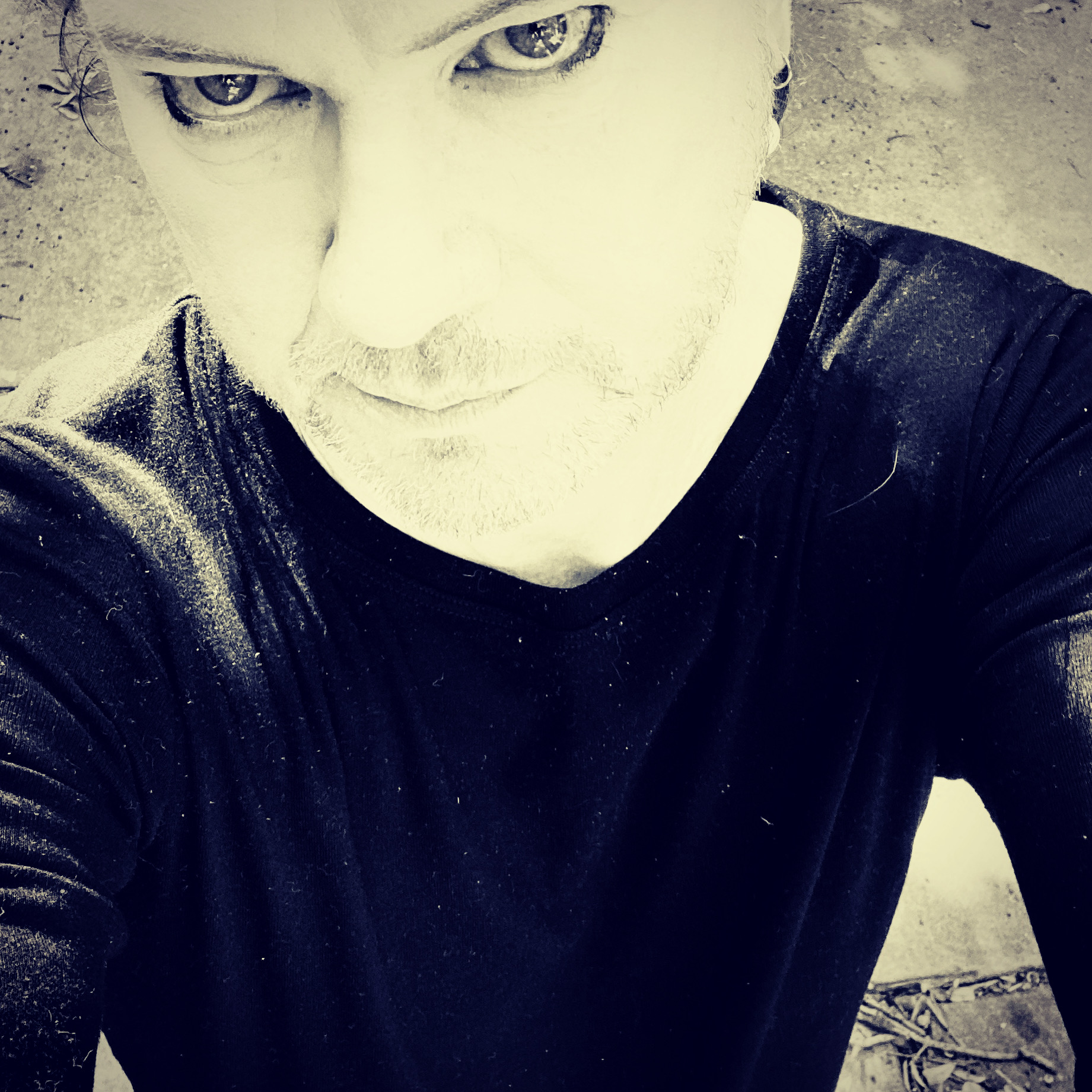 Meta.Morf 2022 conference: ECOPHILIA – Meta.Morf 2022 – Ecophilia